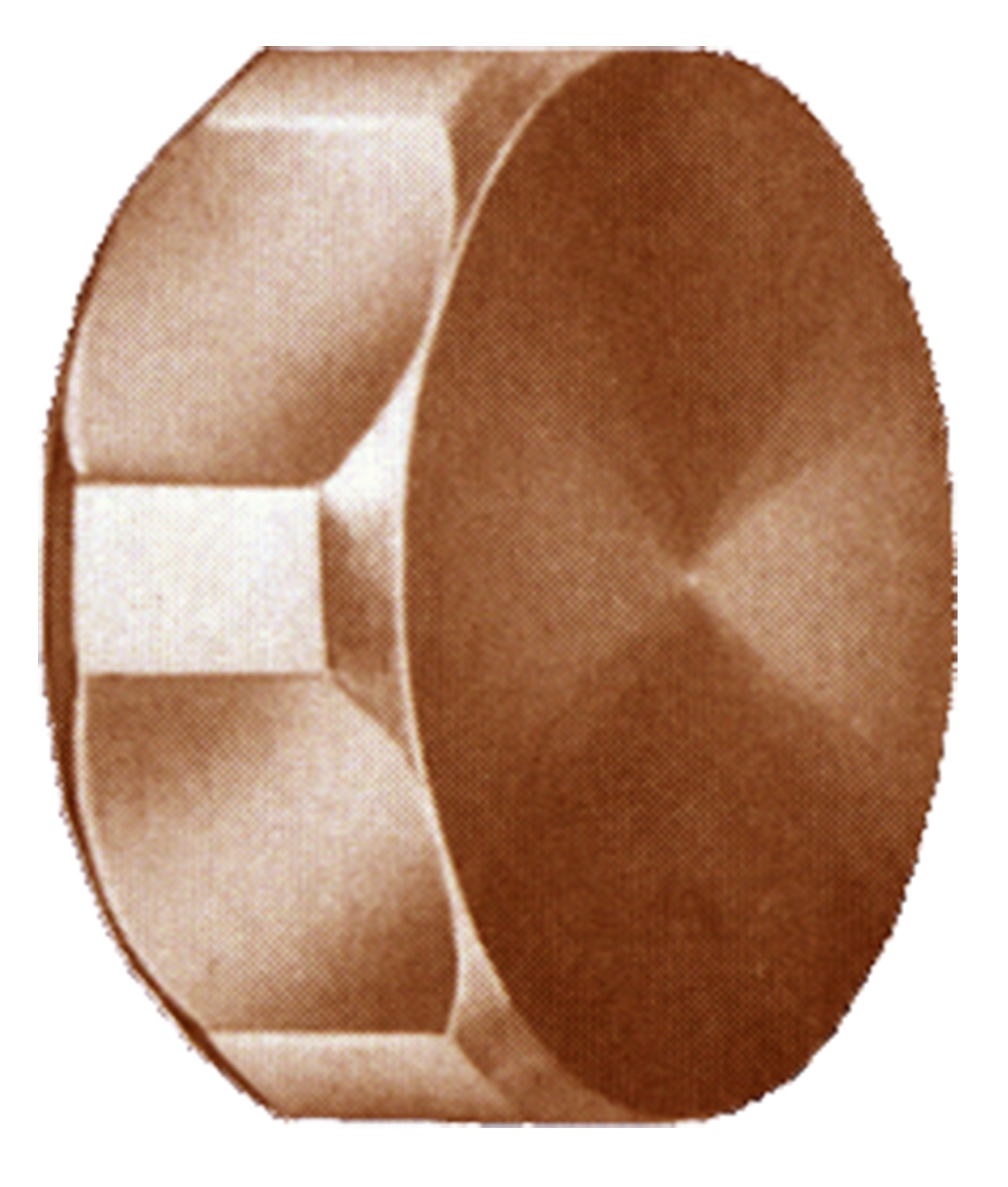 Pipe Cap 3599C